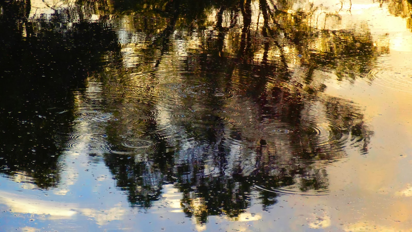 MAP: LAKE REFLECTIONS