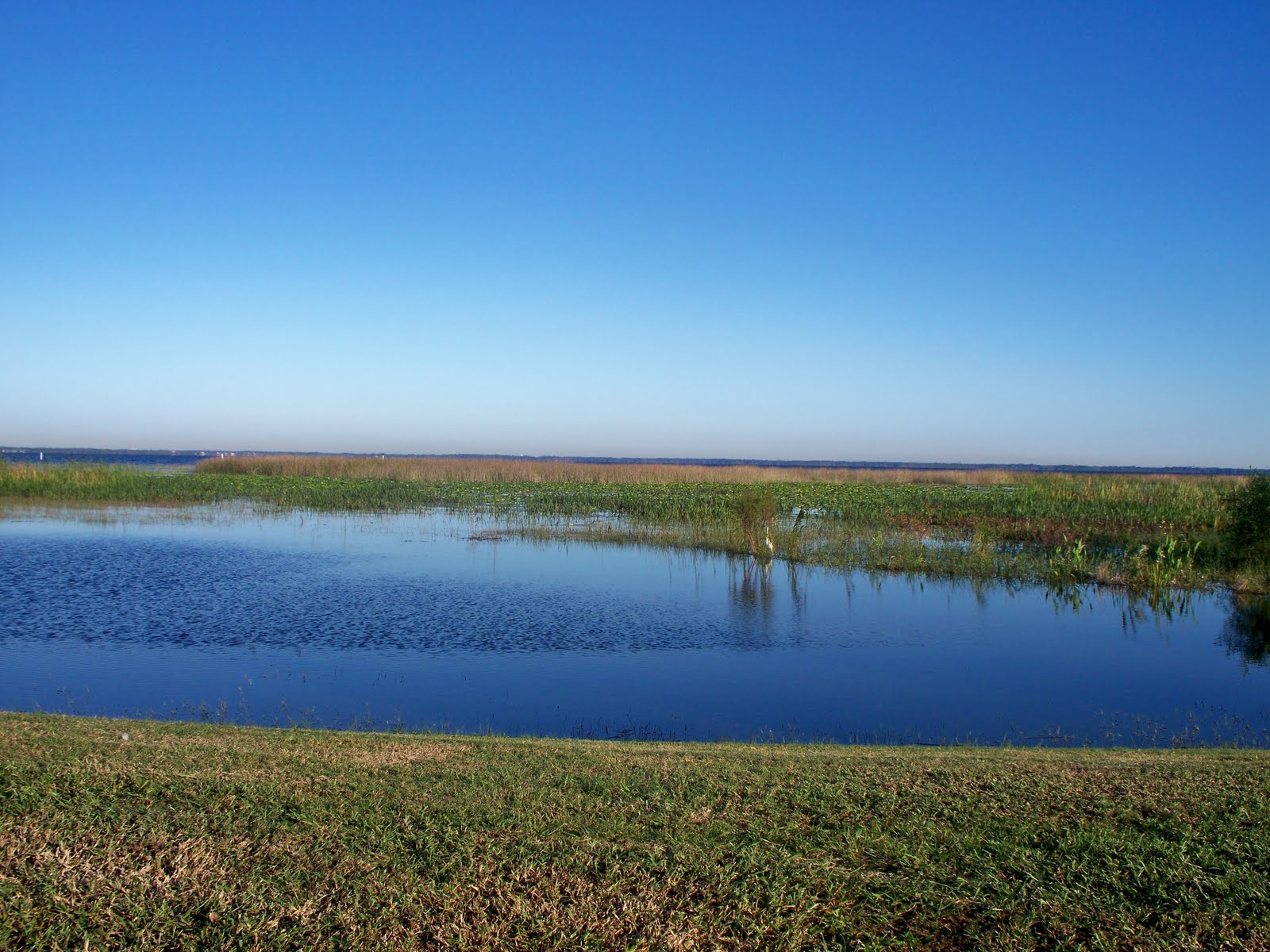 The Oasis: The Beauty of East Lake Toho