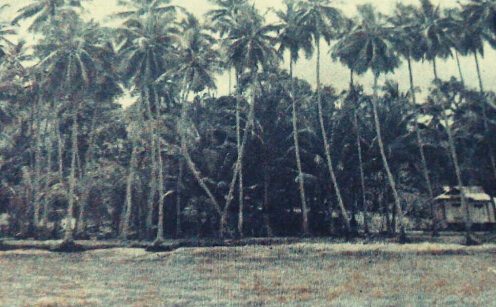 Borneo History: Simbulan 1788 - Sejarah Sembulan Lama - Kajian Awal ...