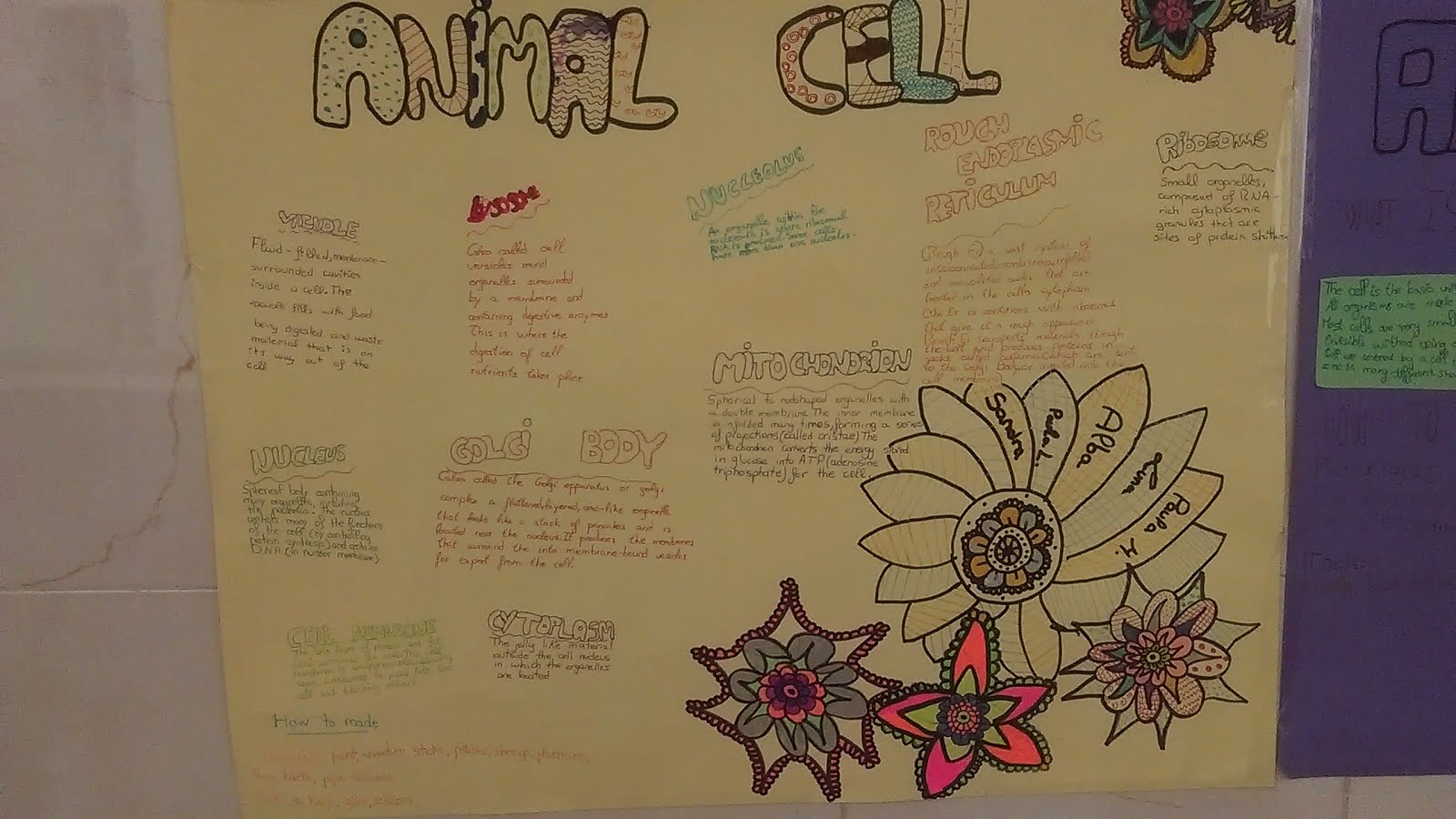 Salud Escolar en el Colegio Mercedes de Santander: Arte, ciencia...e ...