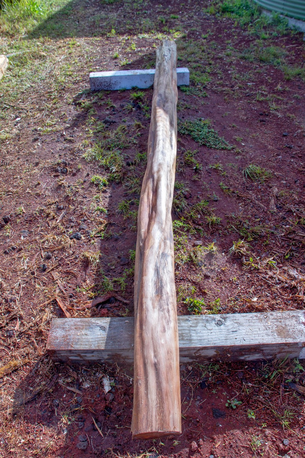 Big Island Living: Framing and Ohia Post Preparation