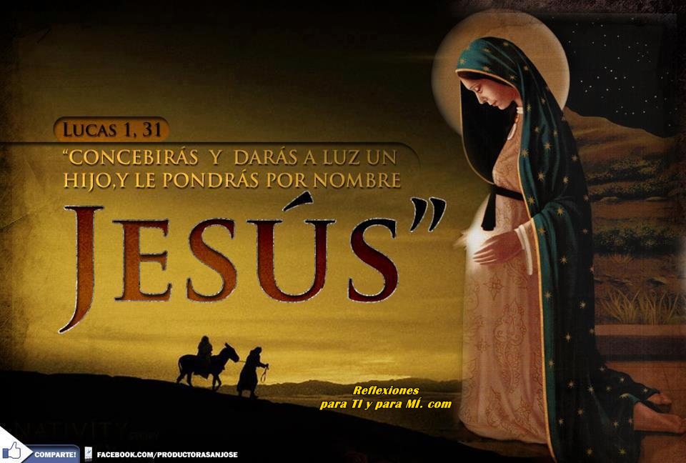 Reflexiones para TI y para MÍ: * "Concebirás y darás a Luz un Hijo, y ...
