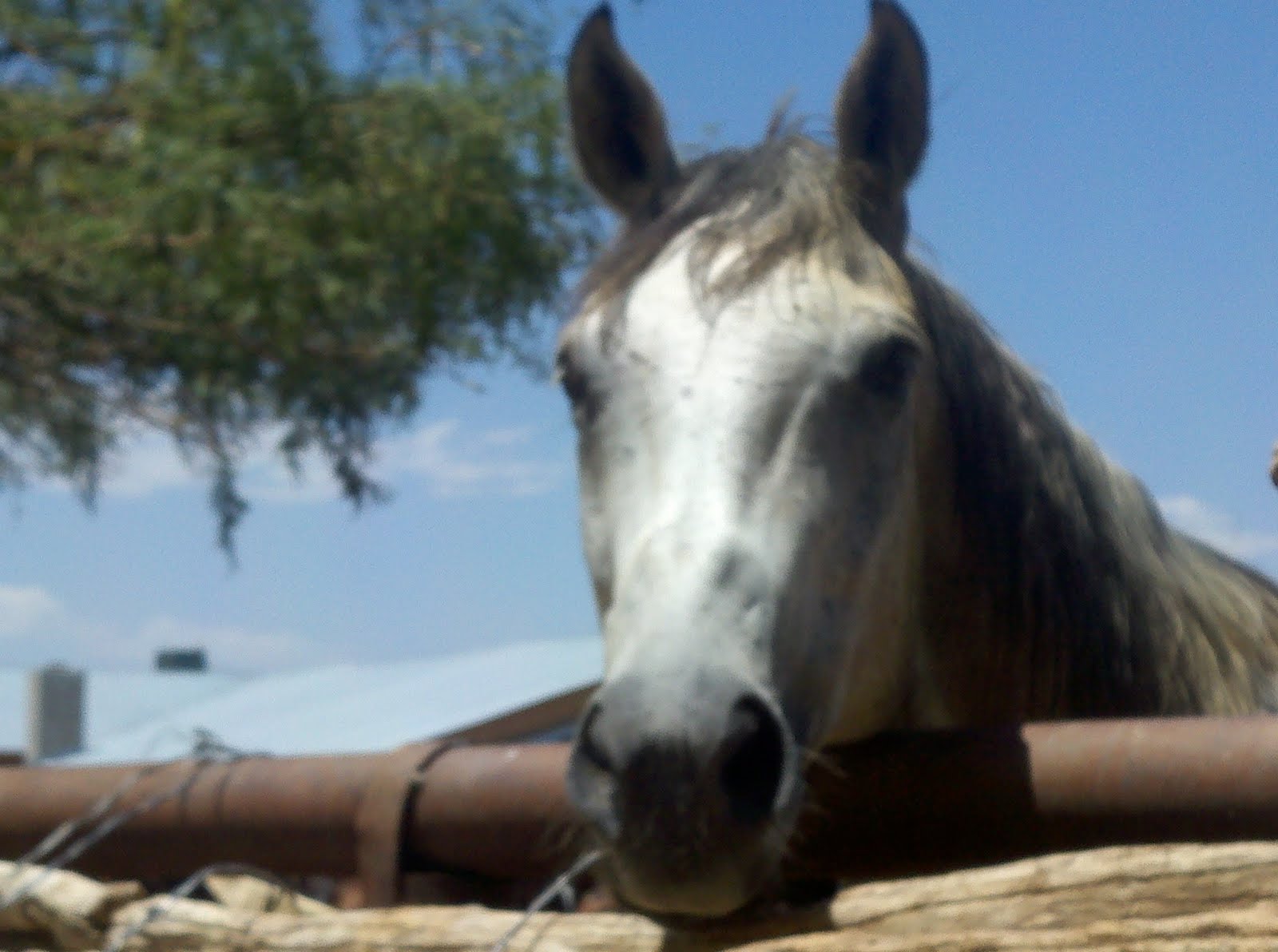 Wine-ing with Grae: Wild West: Not known for their wine ...Yet!