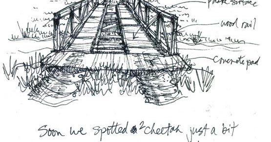 Main Street Gazette: Rickety Show Bridge