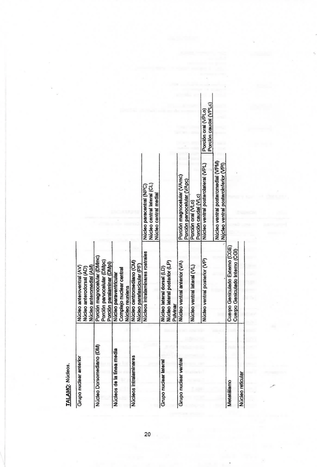 Estudiante de medicina : Apunte de neuroanatomia de Forlizzi Pro