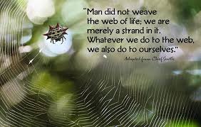 I Dream of the Ocean: Threads