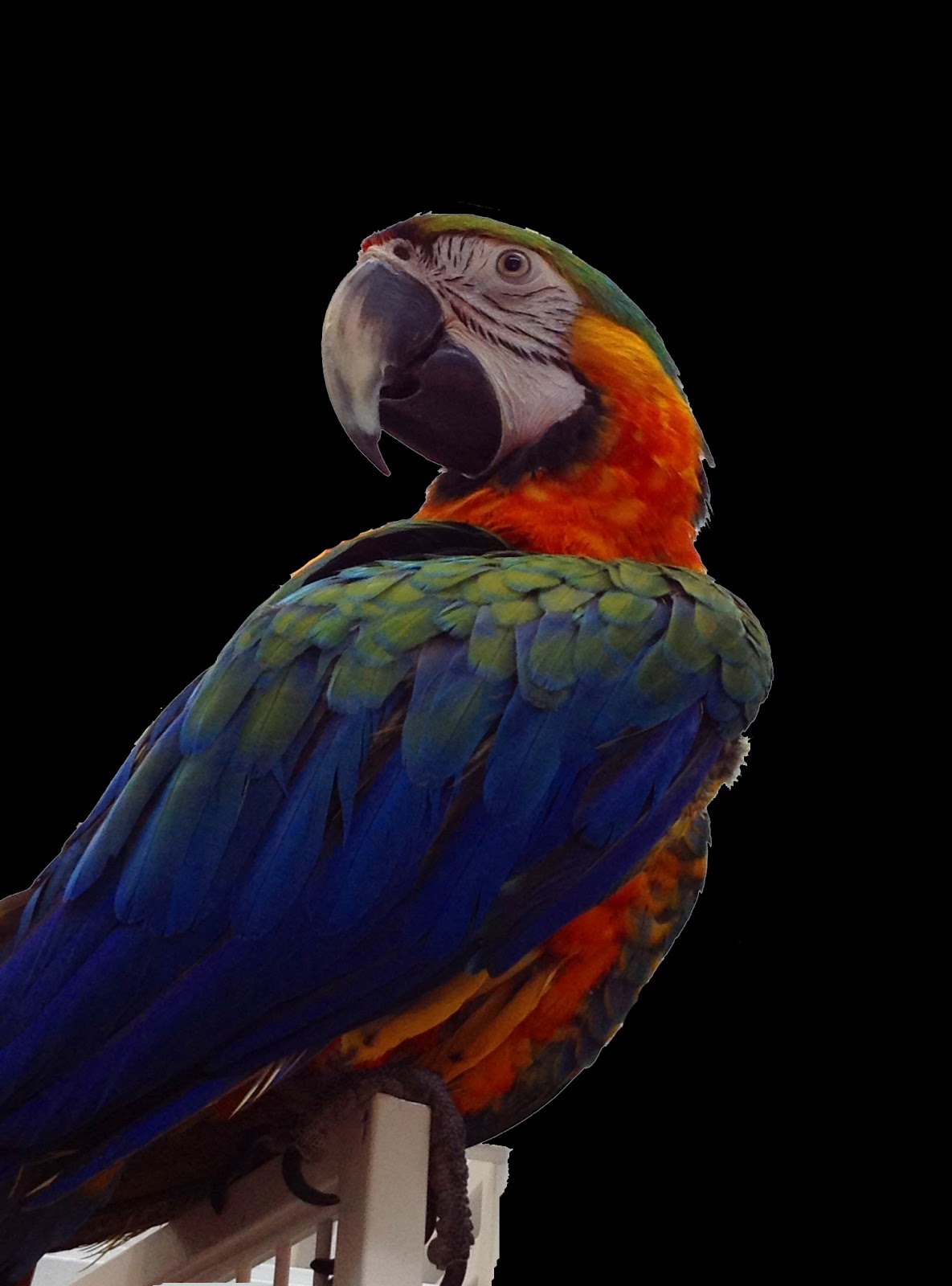 The Helpful Art Teacher: Rhythmic Line Designs And Patterns