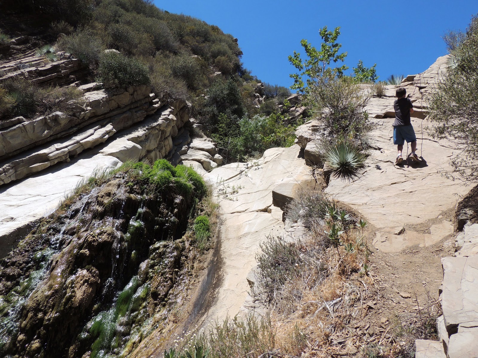 1000 Hikes in 1000 Days: Day 915: Matilija Falls - Bald Hills Trail