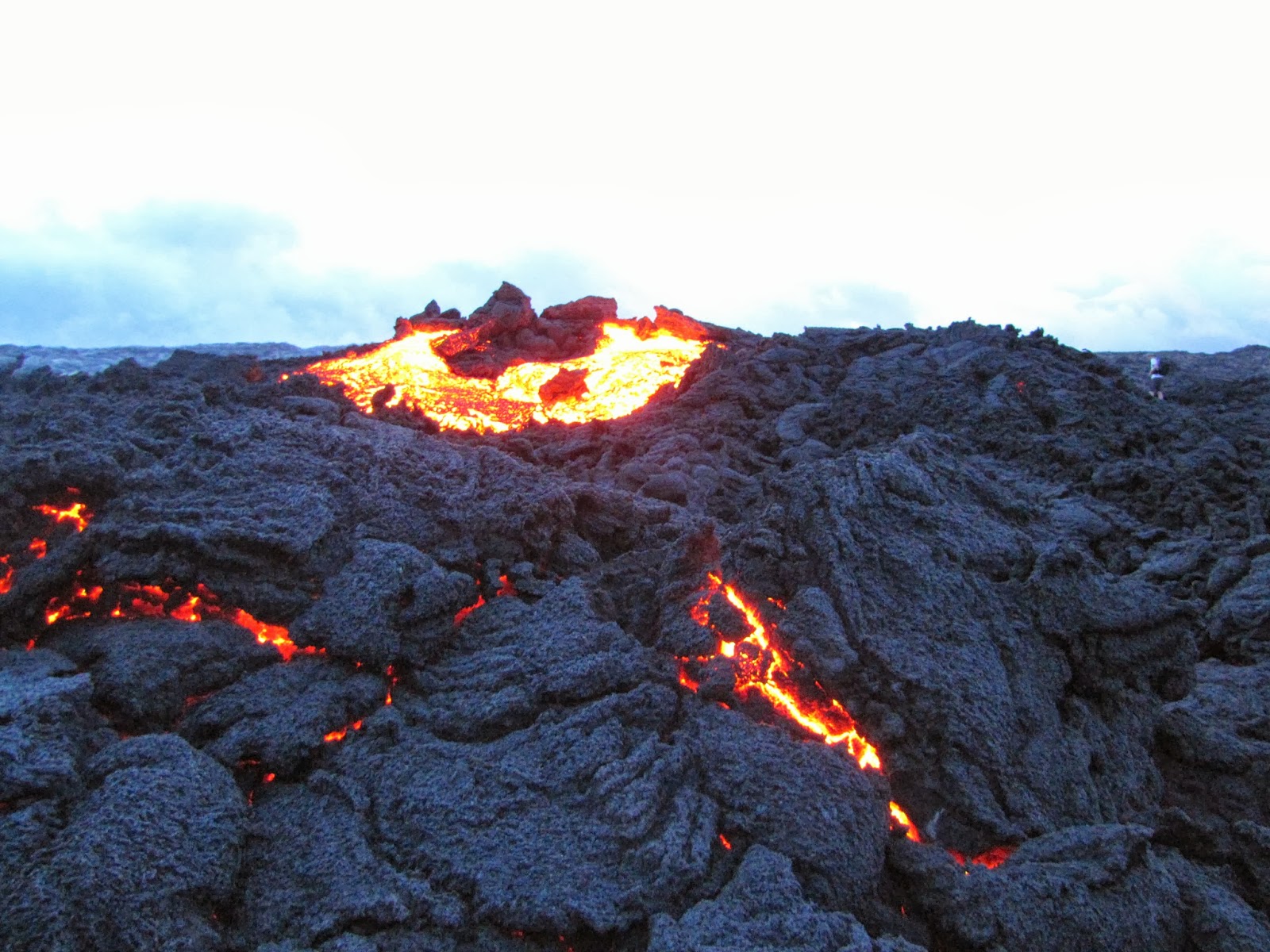 Firewalks and Forest Journeys - Big Island, Hawaii: Photo Gallery