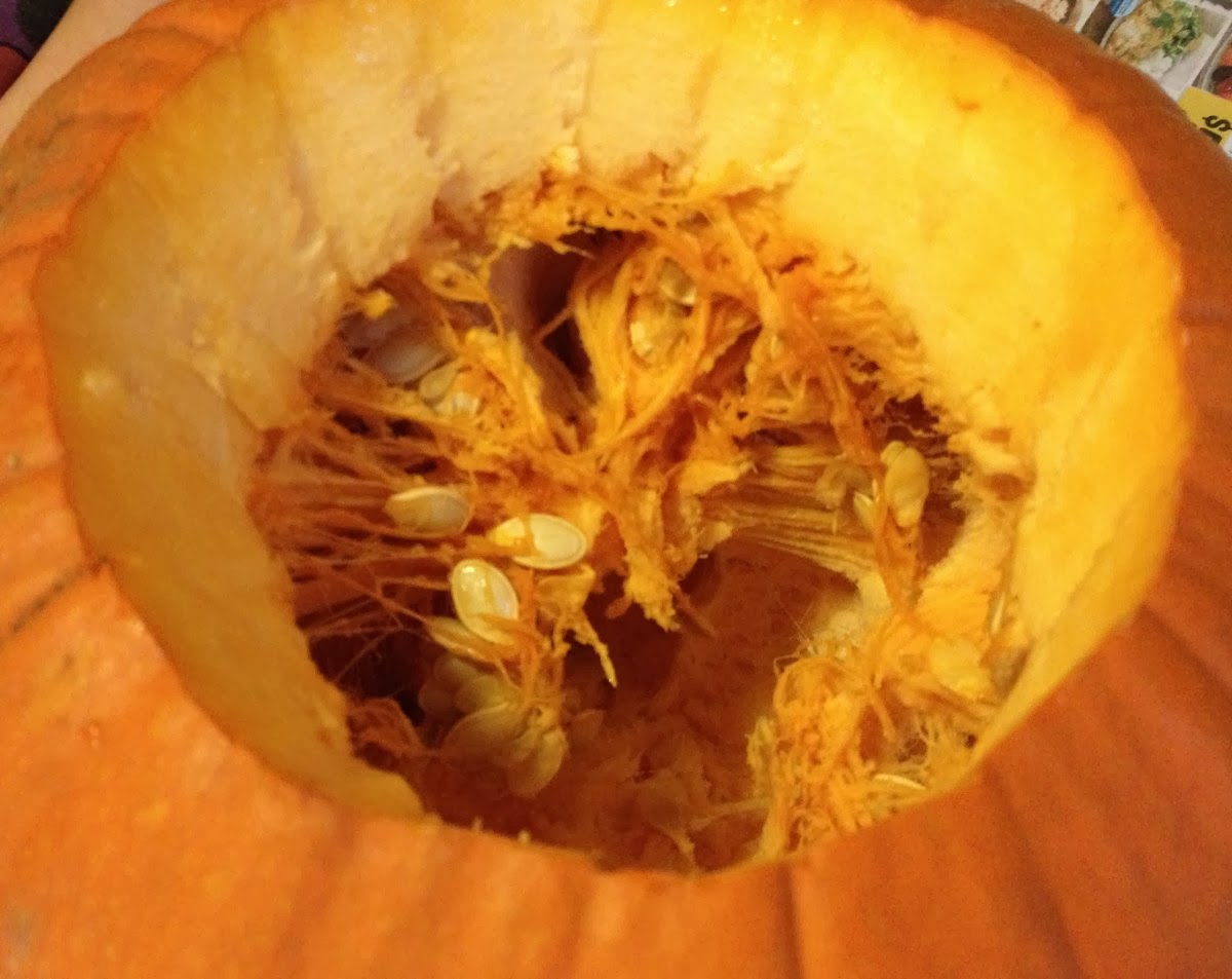 Cummins Life: Harvest Pumpkins Are Like Christians Activity