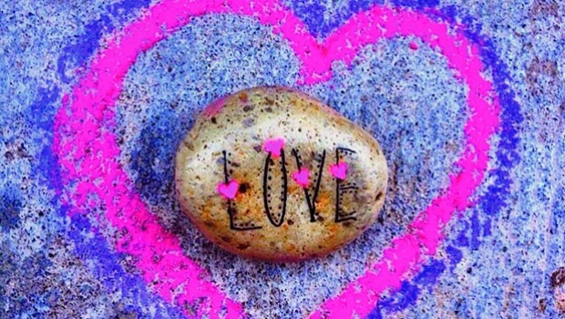 A Year's Worth of Monthly Service Projects for Families - Every Star Is ...