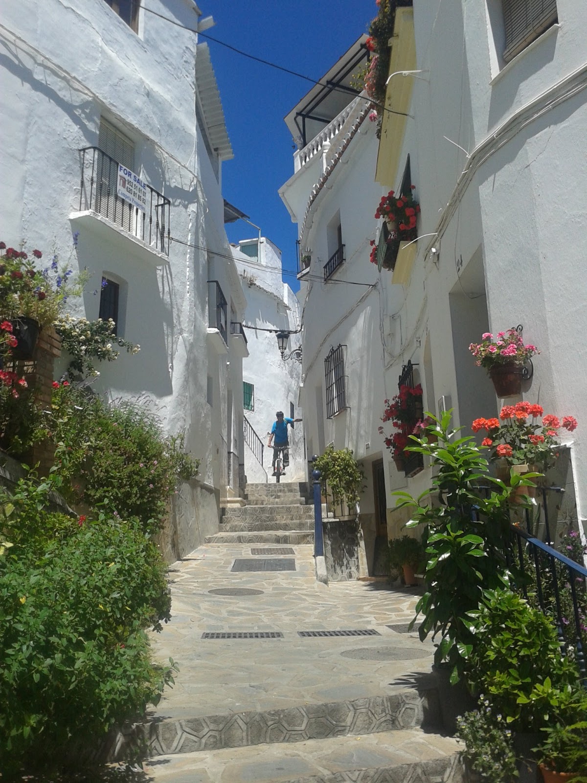 Club de Montaña Sierra de Las Nieves: MTB: Torrox - Cómpeta - Puerto ...