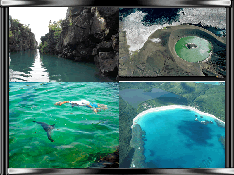 Lugar turístico Ecuatoriano: Flora y Fauna: Isla Santa Isabela-Ecuador