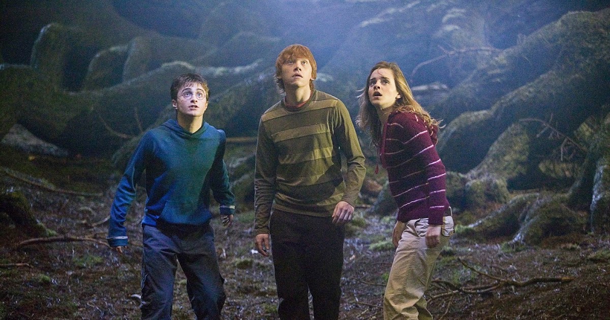 The Fairy Blog: The Fairy Blog confirms the fate of Freeform’s Harry ...