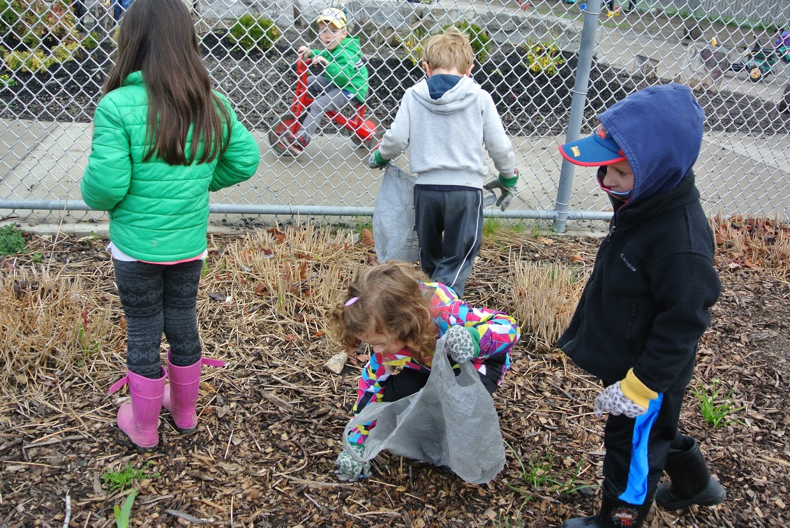 The Wonderful World of Kindergarten: Cleaning up our yard