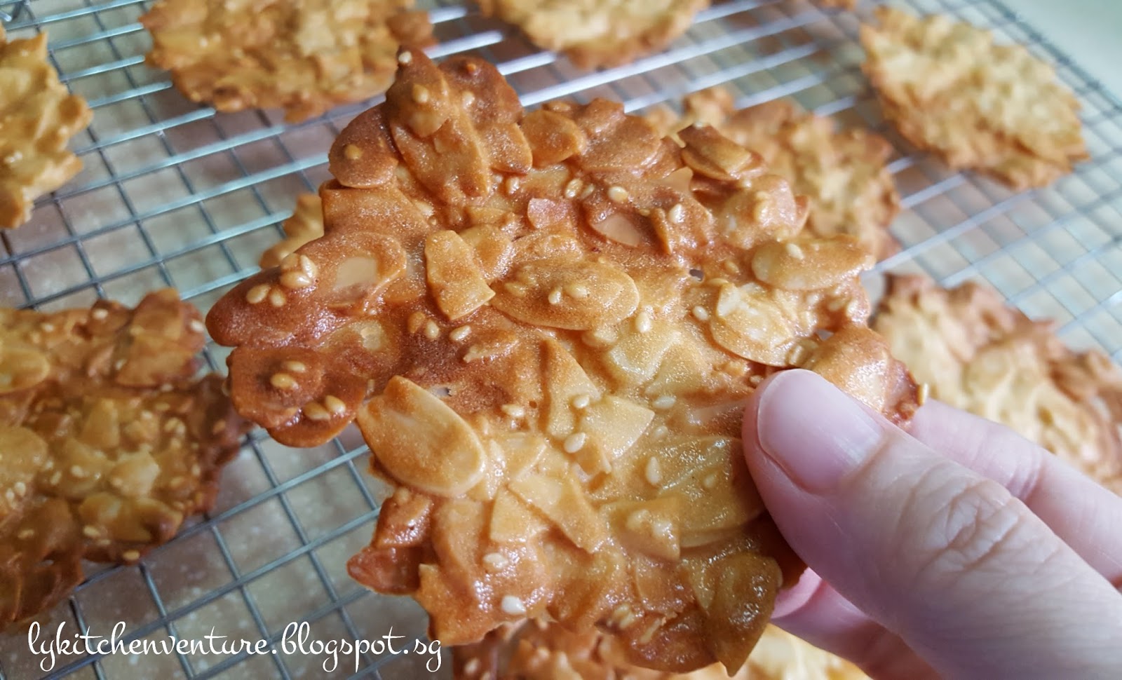 LY's Kitchen Ventures: Sesame Almond Crisps