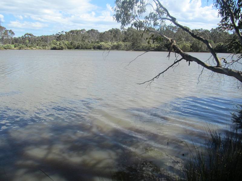 TRACKS, TRAILS AND COASTS NEAR MELBOURNE : Jells Park Lake in early ...