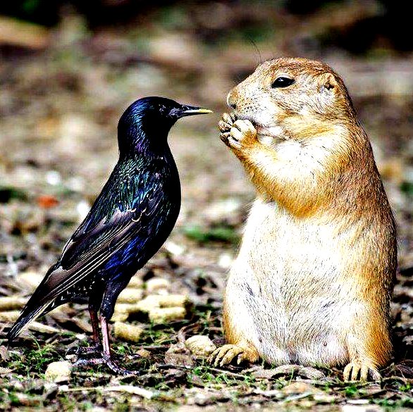 The Flying Tortoise: Love. It's What The World Needs Plenty Of...