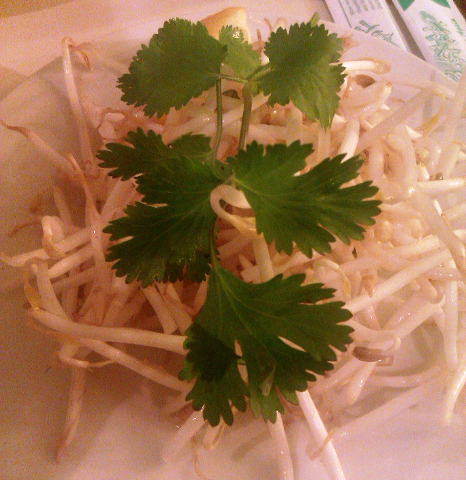 Northern Food: Pho 68, Sheffield