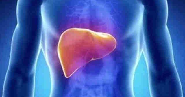 Functiile ficatului - Ghid de sanatate pentru intreaga familie