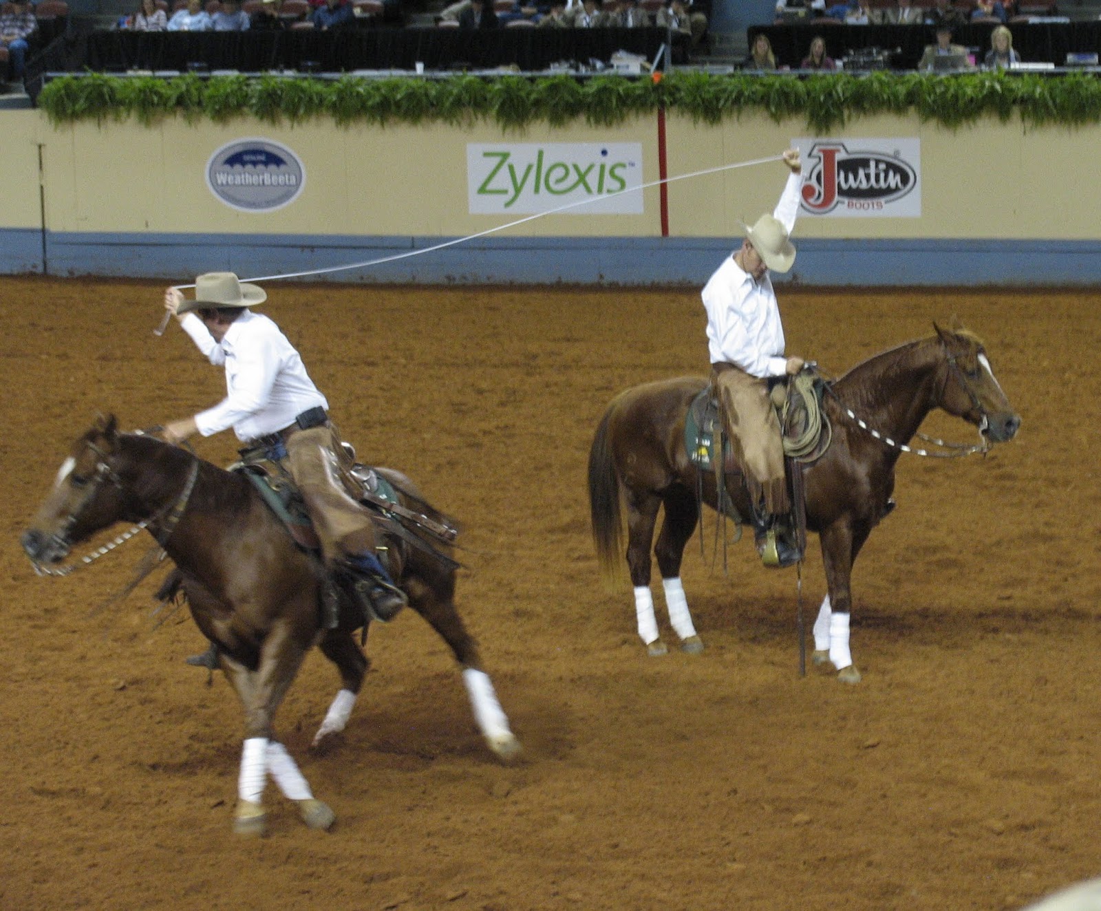 My All Around Cowgirl Life: AQHA World Horse Show 2012 Pat Parelli demo