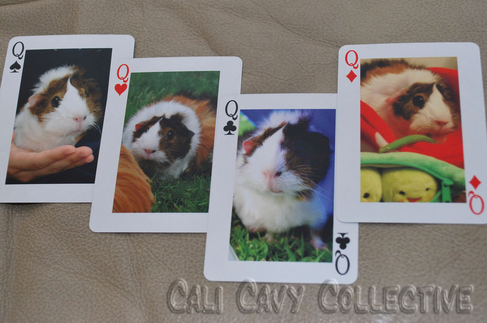 Cali Cavy Collective: a blog about all things guinea pig: Guinea Pig ...