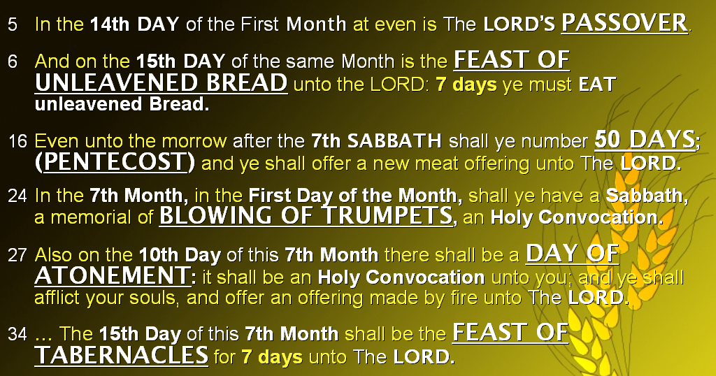 The BIBLE EXPLAINER & REVELATOR: Q698: The LORD God Commanded His Seven ...