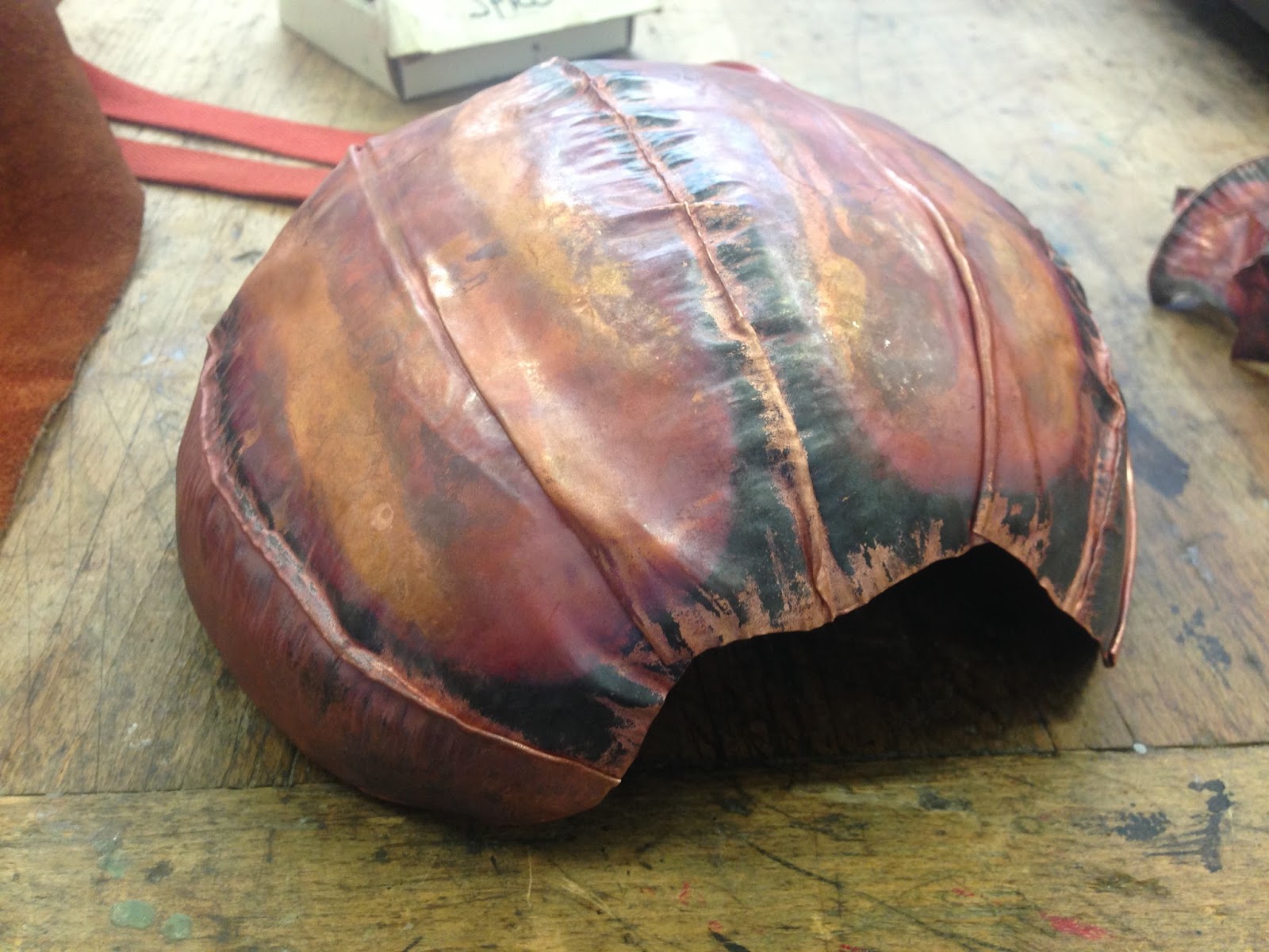 Will Amy : Natural Armored Animals