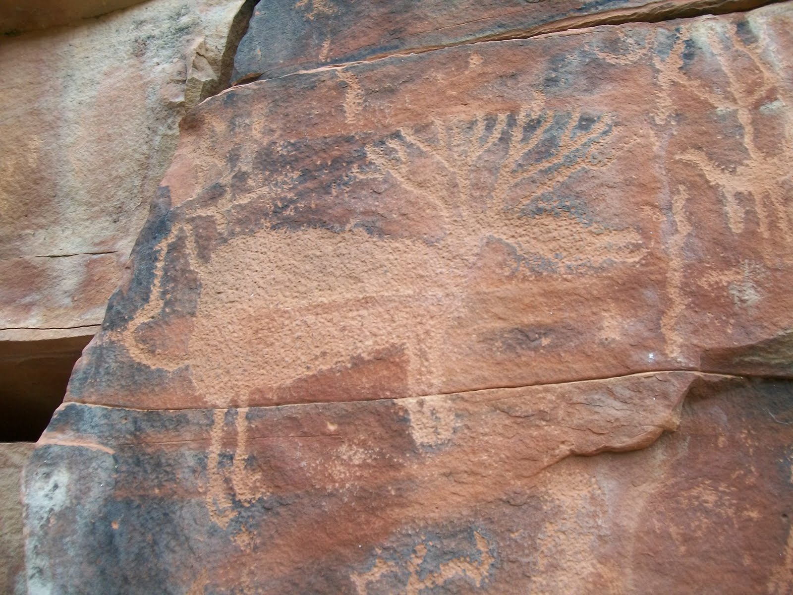 Arizona Jones: Red Tank Draw Petroglyph Site