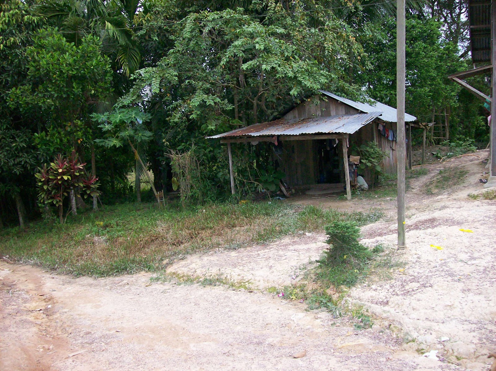 Caroline Poh: My Exotic Experience at the Orang Asli (Malaysian ...