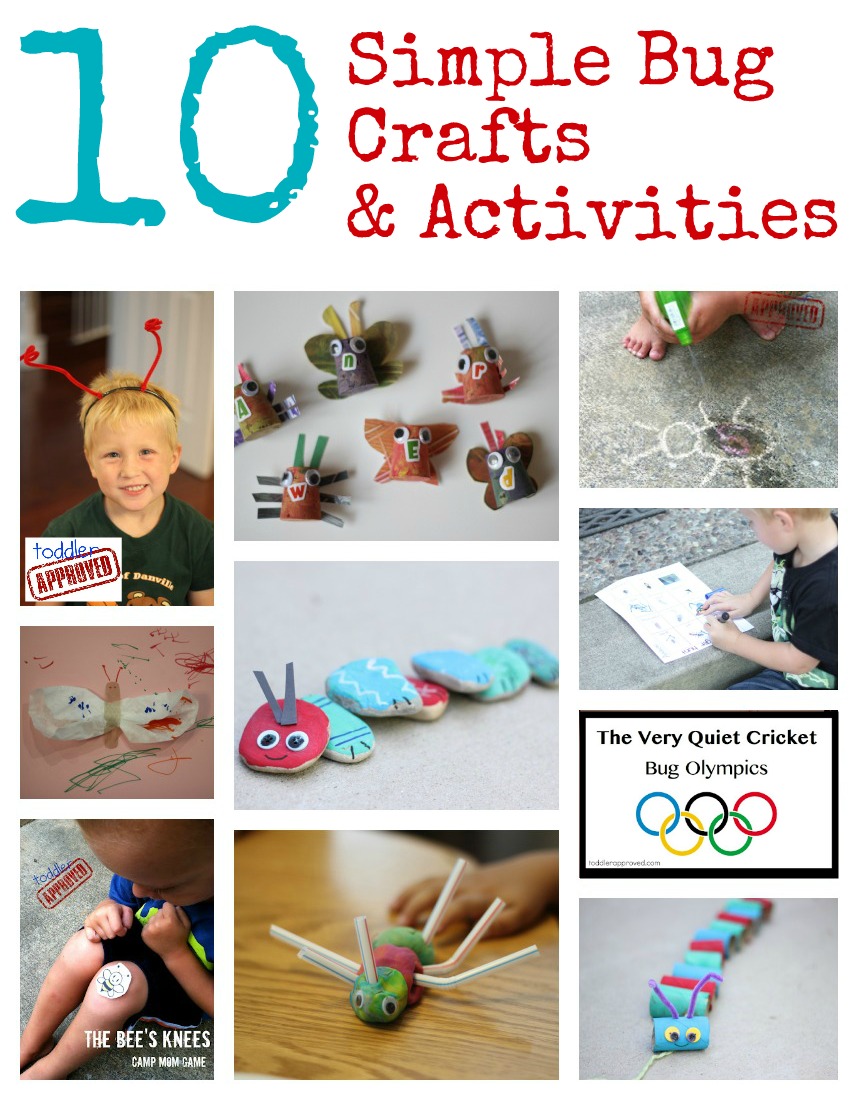 Insect Camp Game at Ashley Fuller blog