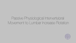 Passive physiological intervertebral movements