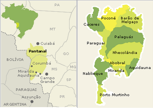 BIBOCA AMBIENTAL : PANTANAL : TERRA DAS ÁGUAS