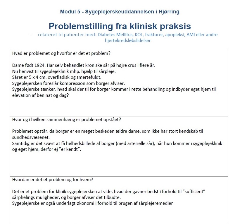 Relationen mellem sygeplejerske og borger: Problemstilling