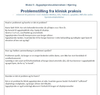 Relationen mellem sygeplejerske og borger: Problemstilling