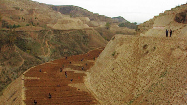 Reflections After 2016 Earth Activist Training