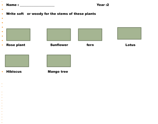 Science: Knowledge Corner