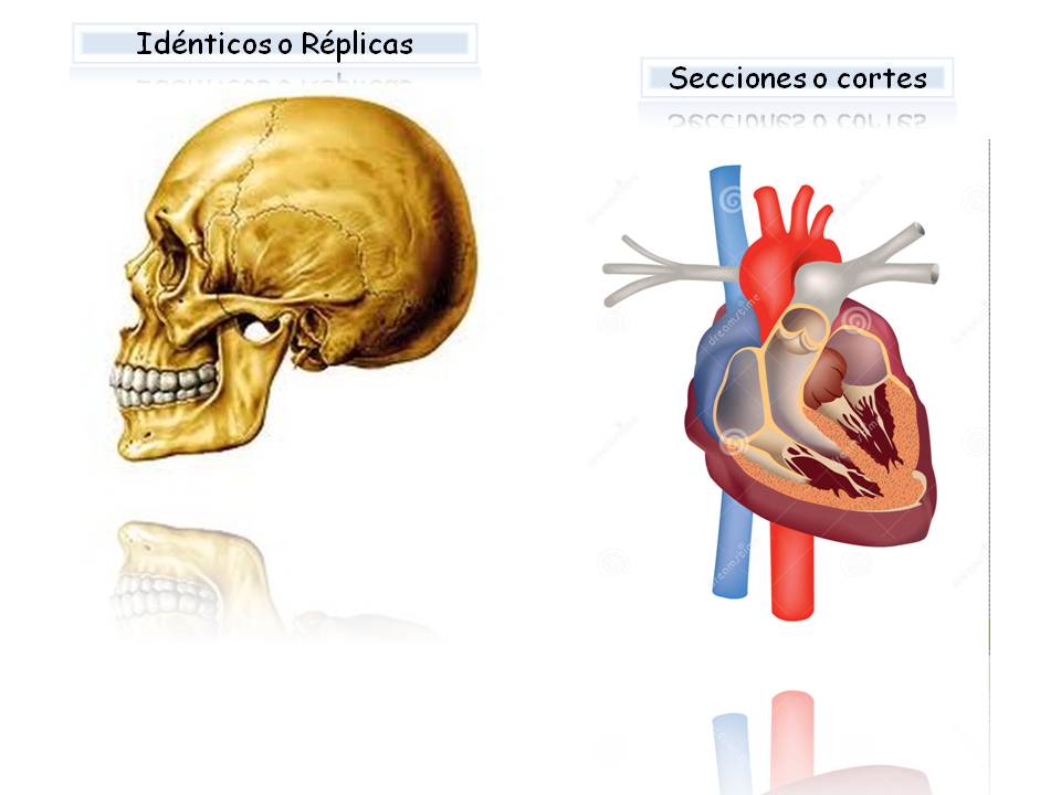 Medios y Recursos Instruccionales. "Retos para el docente del siglo XXI ...