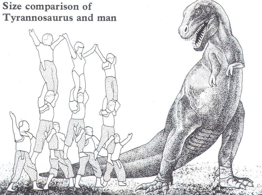 Reptossaurus: Comparação aproximada entre um T-Rex e alguns humanos