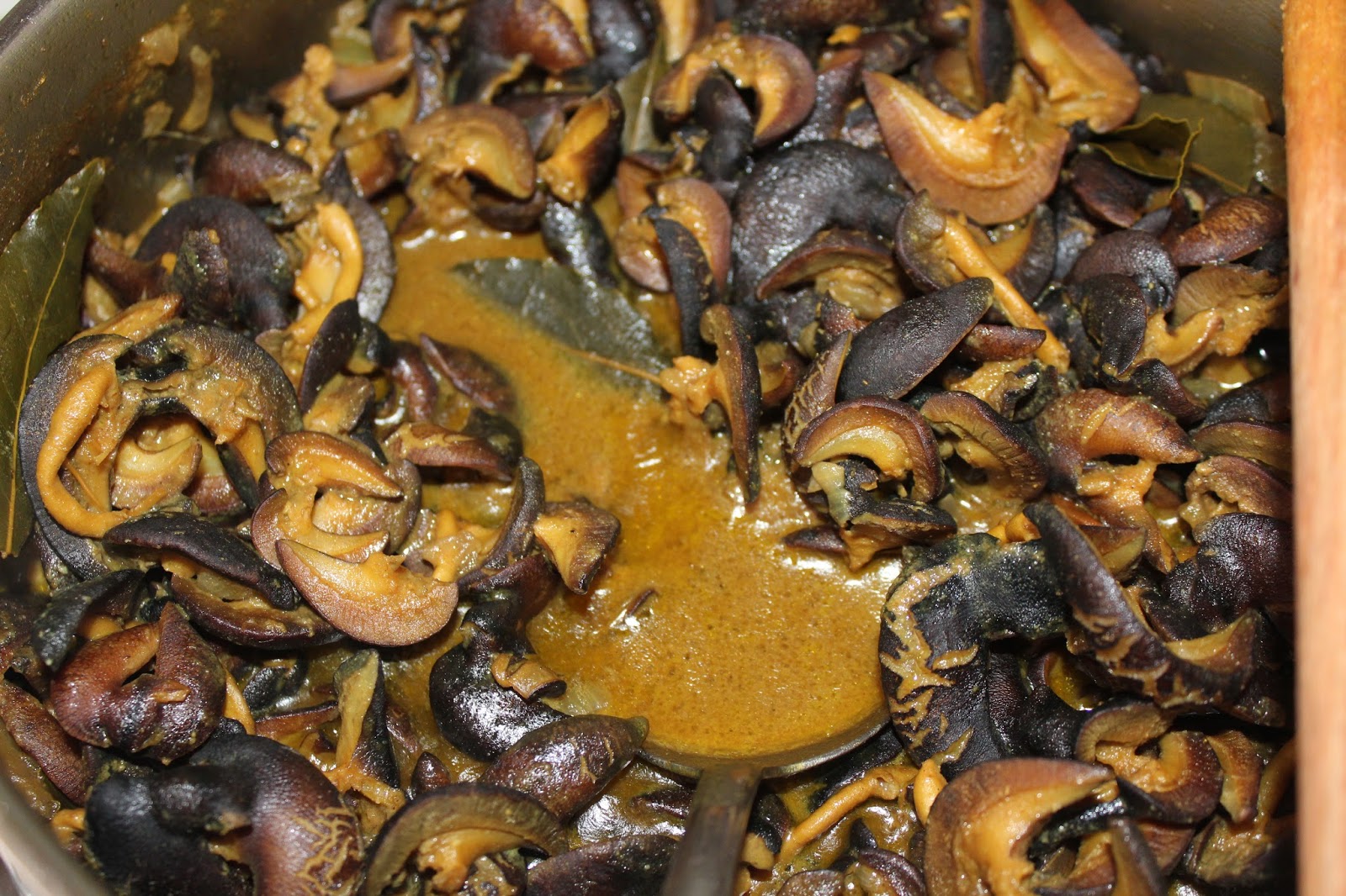 Sugestão para almoço de Domingo - "Búzio de caril e coco" | Minha doce ...