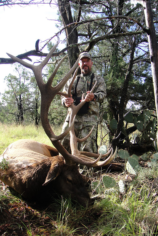 Colburn and Scott Outfitters: G Todd Brooks 375" AZ Archery Elk