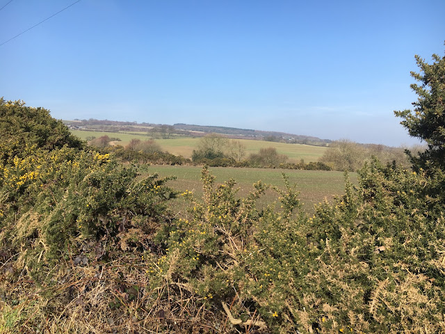 The Bowes Railway Path Spring Walk. - The Geordie Tourist.