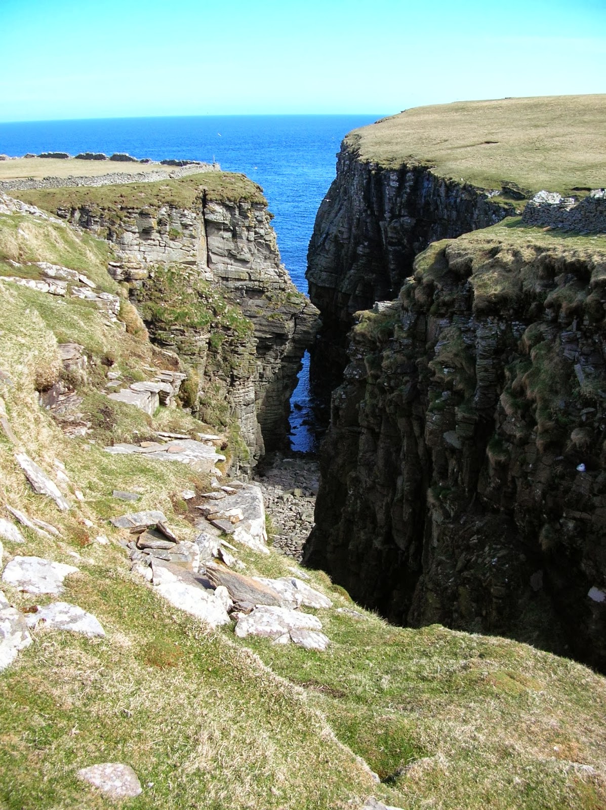 A lifetime of Islands: Island 203 - Noss, Shetland