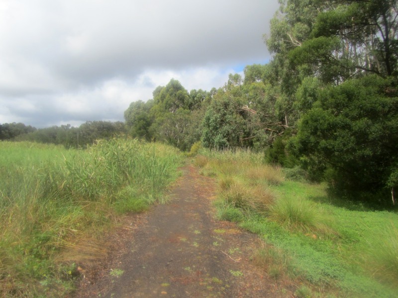 TRACKS, TRAILS AND COASTS NEAR MELBOURNE : Mulgrave Wetlands Reserve