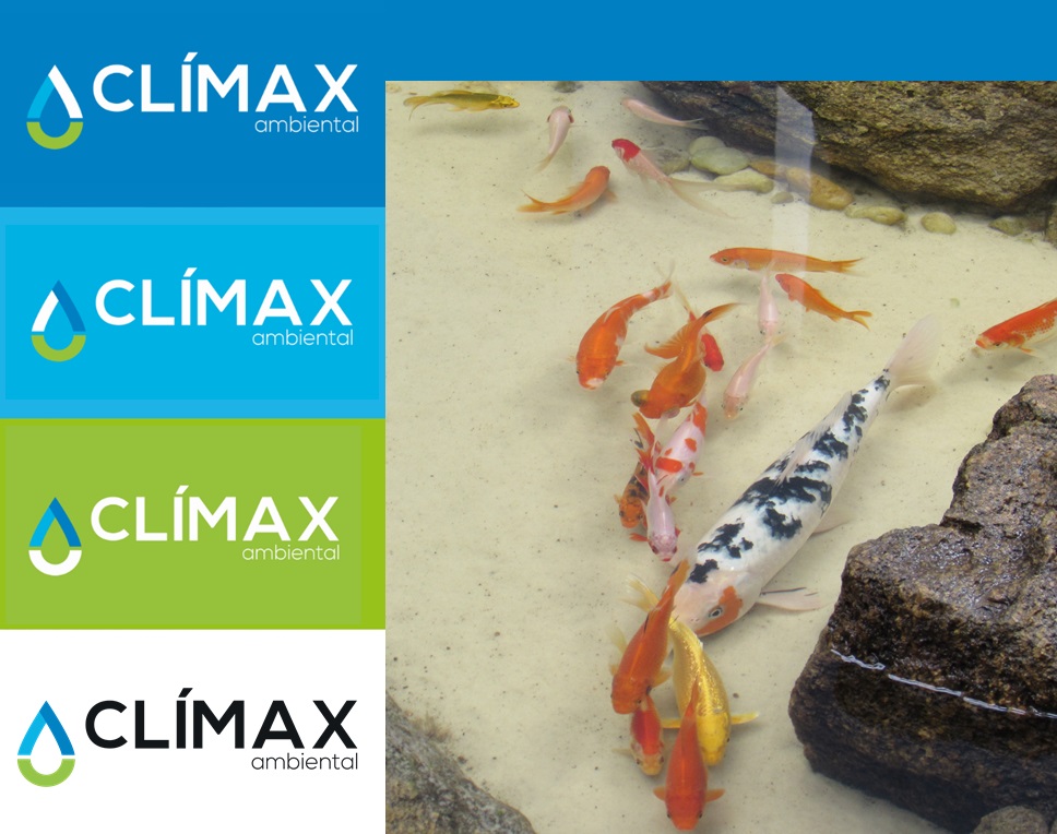 Lagos Ornamentais: Filtros Biológicos para Lagos