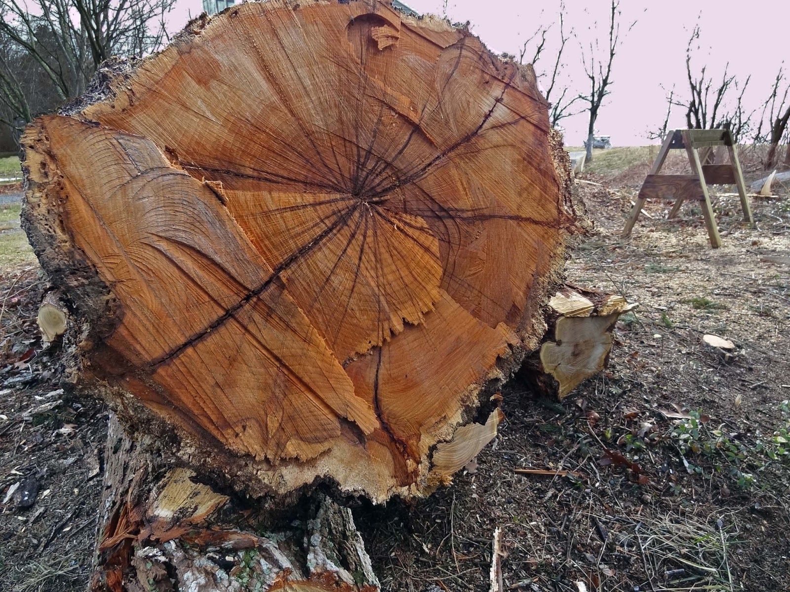 Joe's Retirement Blog: Wood, Manomet, Plymouth, Massachusetts, USA