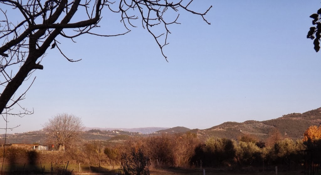 sociologyalert: ΠΑΛΑΙΑ ΦΛΩΡΙΑΔΑ (ΒΔΕΛΕΣ) ΟΡΕΙΝΟΥ ΒΑΛΤΟΥ ΑΙΤΩΛ/ΝΙΑΣ ...