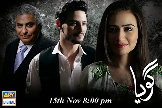 Goyaa Full Ost Title Song - Ary Digital ~ All Indian And Pakistani ...