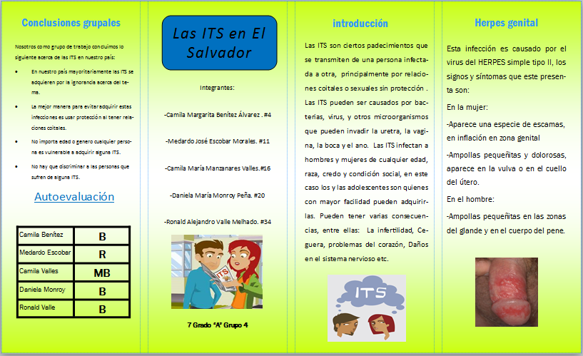 Las Infecciones de Transmision sexual 7 "A": Triptico sobre las ITS