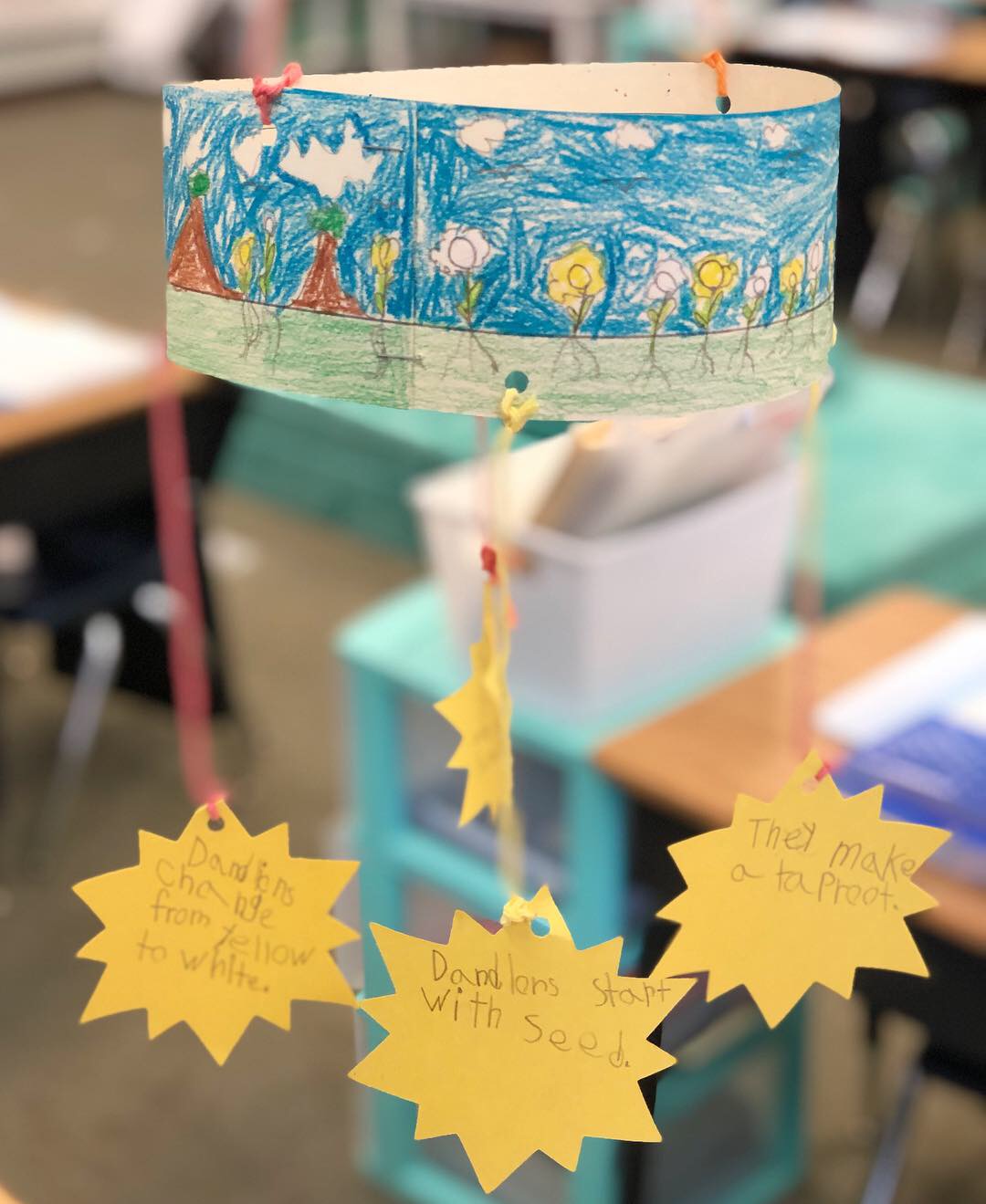 Primary Graffiti: Informational Writing